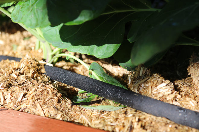 Waterwise Garden at Perth Royal Show - Holman Industries