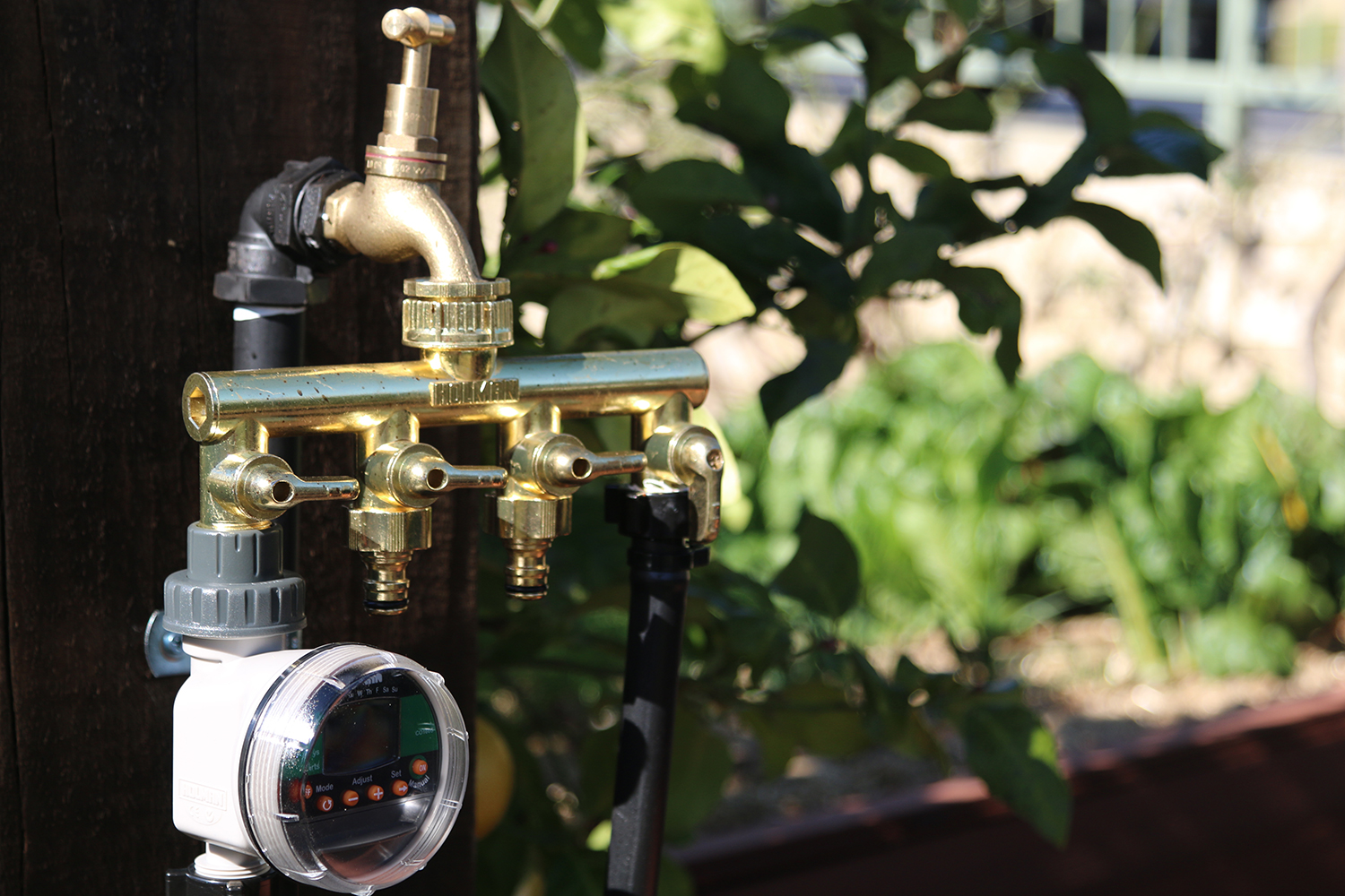 Waterwise Garden at Perth Royal Show | Holman Industries