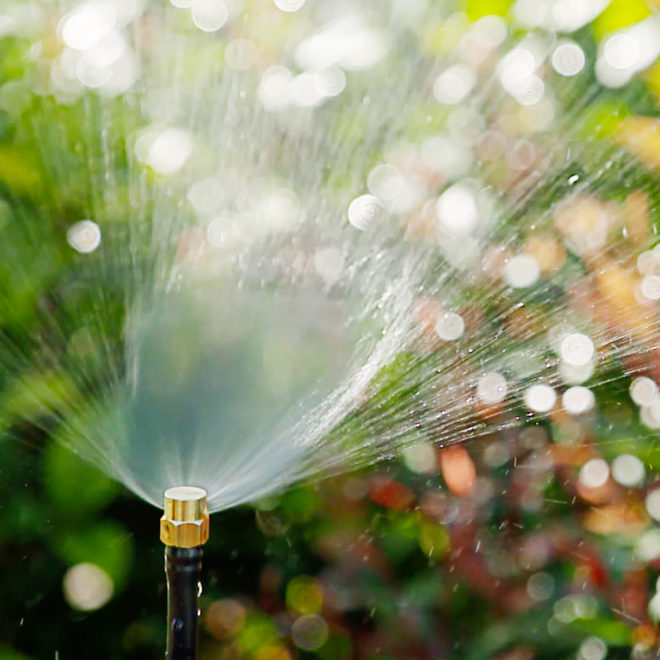 Keep Your Garden Alive - Holman Industries