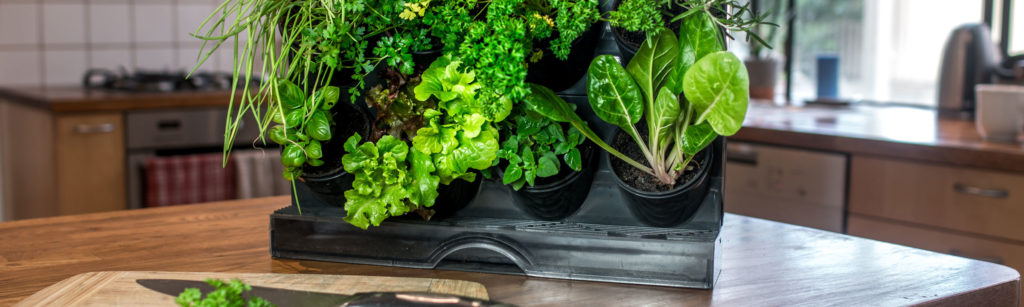 4 Ways to Green Up Your Rental Space
