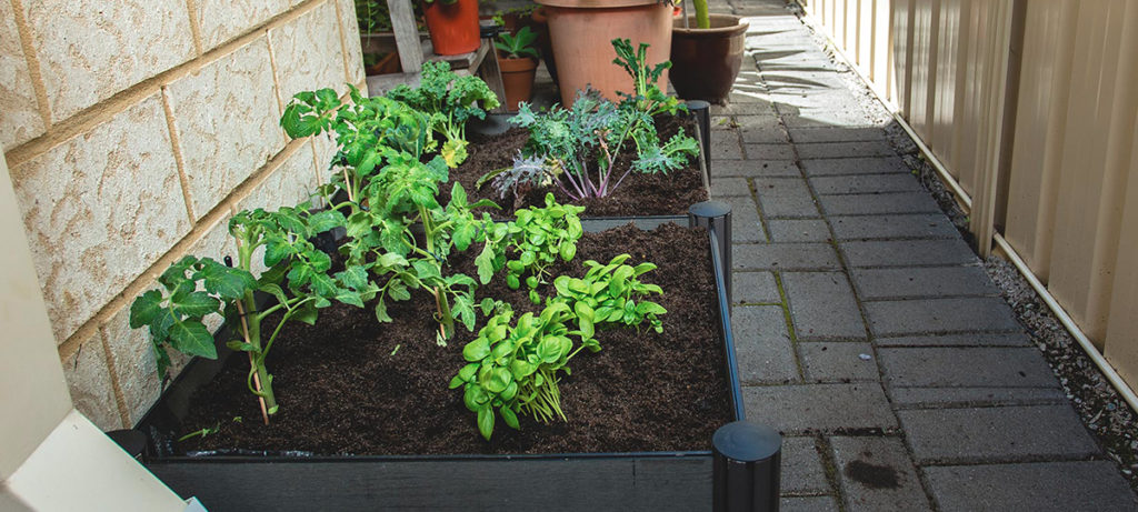 4 Ways to Green Up Your Rental Space