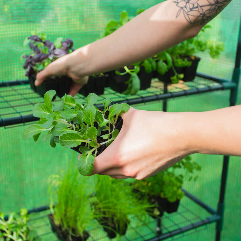 Walk-in Greenhouse Kit - DIY Friendly - Holman Industries