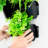 Connect-a-Pot™ 10 x Pot GreenWall® - Holman Industries