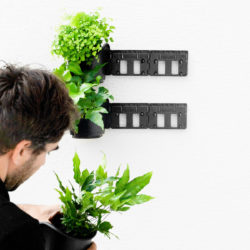 Connect-a-Pot™ 10 x Pot GreenWall® - Holman Industries