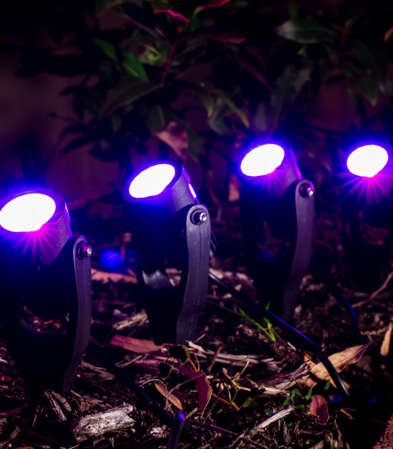 43mm RGB Colour Spotlight Value Pack - Holman Industries