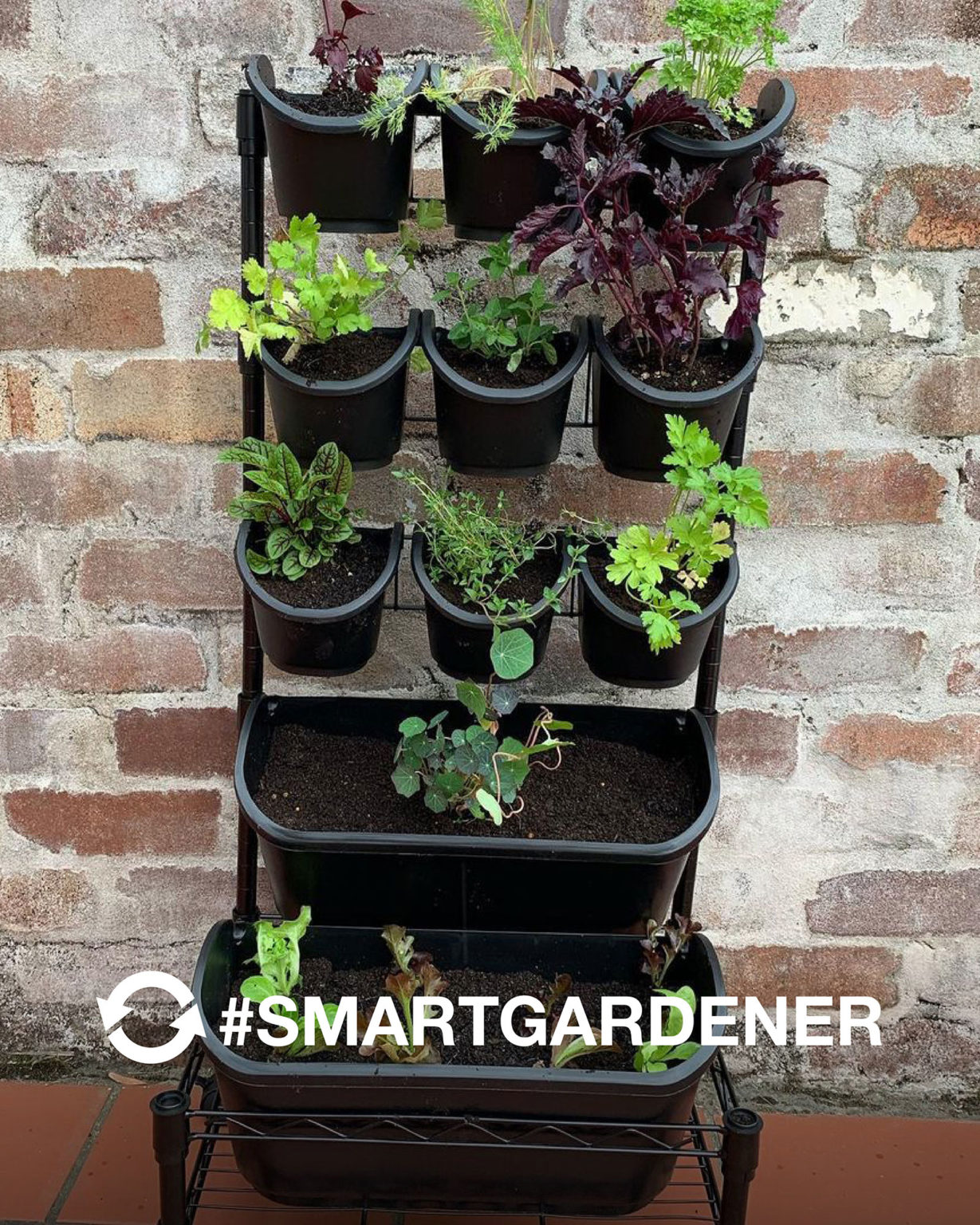 GreenWall® Mobile Garden Kit - Holman Industries