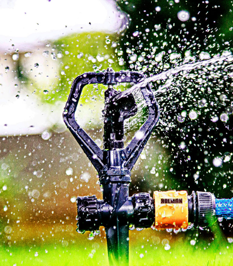 Plastic Butterfly Sprinkler Head - Holman Industries