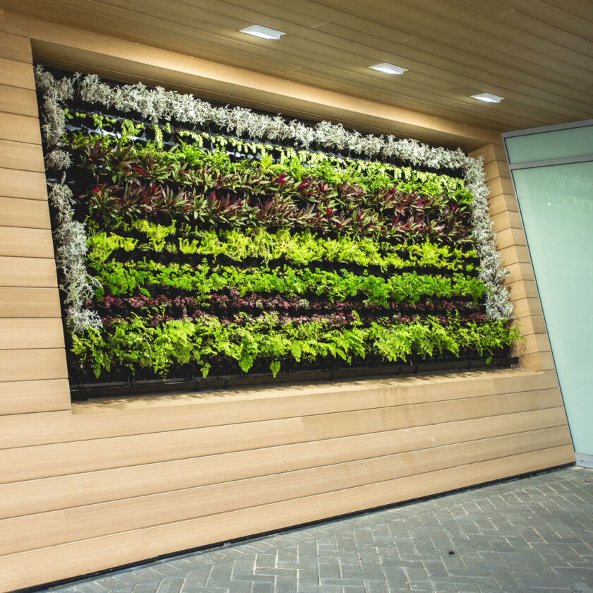 GreenWall® Vertical Gardening - Holman Industries