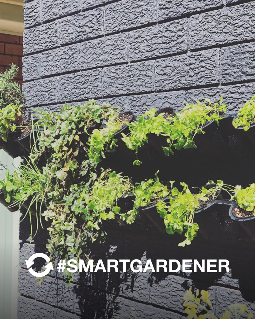 Pixel Pot Vertical Planting Kit - Holman Industries