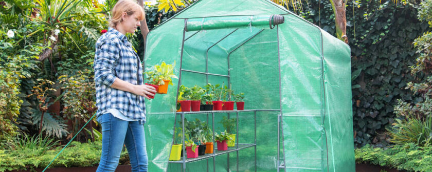 How to grow seeds in a Greenhouse - Holman Industries