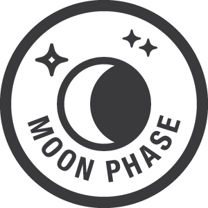 Zephyr Wi-Fi Weather Station - Holman Industries