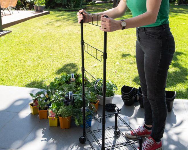 How to set up your own mobile herb garden - Holman Industries