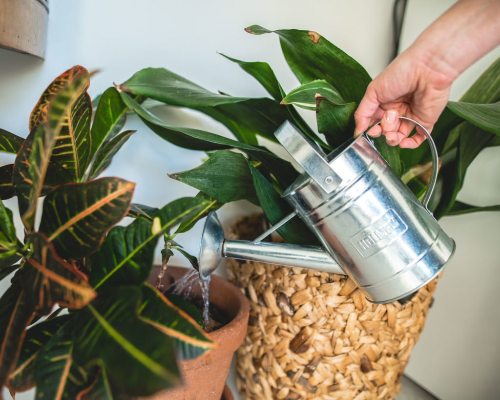 Our top 10 must haves for Spring 2021 - Holman Industries