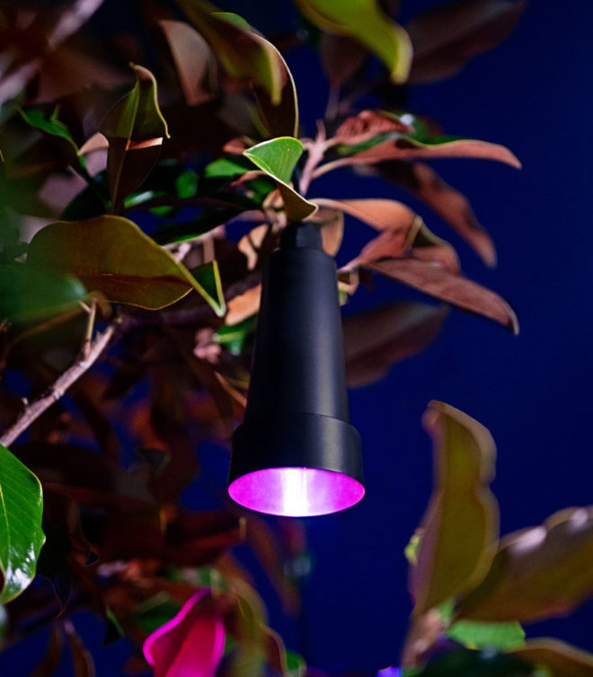 RGB Colour Hanging Tree Light - Holman Industries