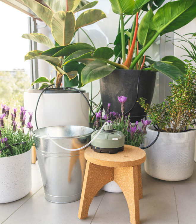 Self Watering Drip Irrigation System - Holman Industries