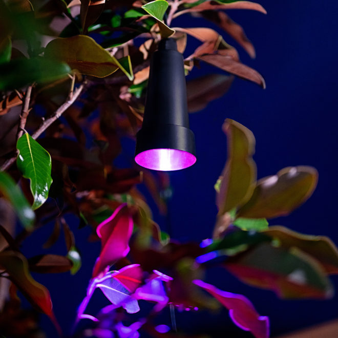 How to pick the best outdoor lighting for your space - Holman Industries