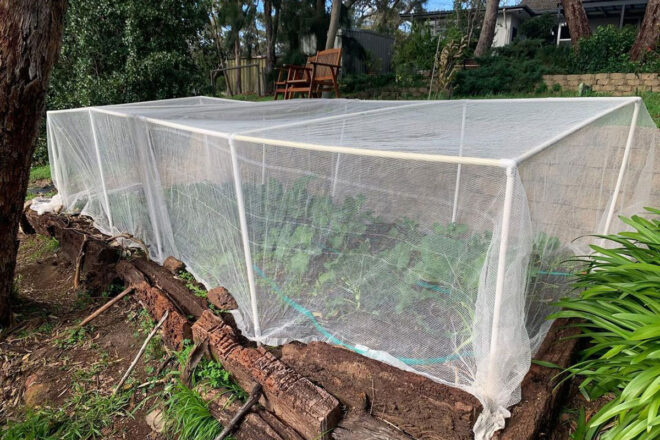 Garden cover - DIY PVC Project - Holman Industries