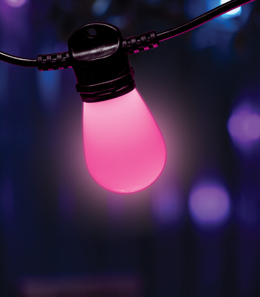 12× Bulb Wi-Fi Festoon Kit - Holman Industries