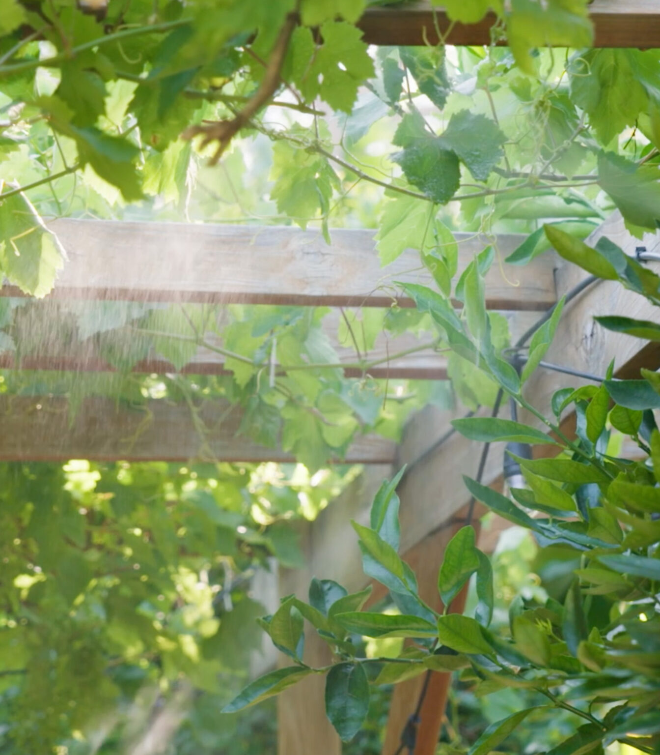 7m Misting Kit with SwapLock® Fittings - Holman Industries