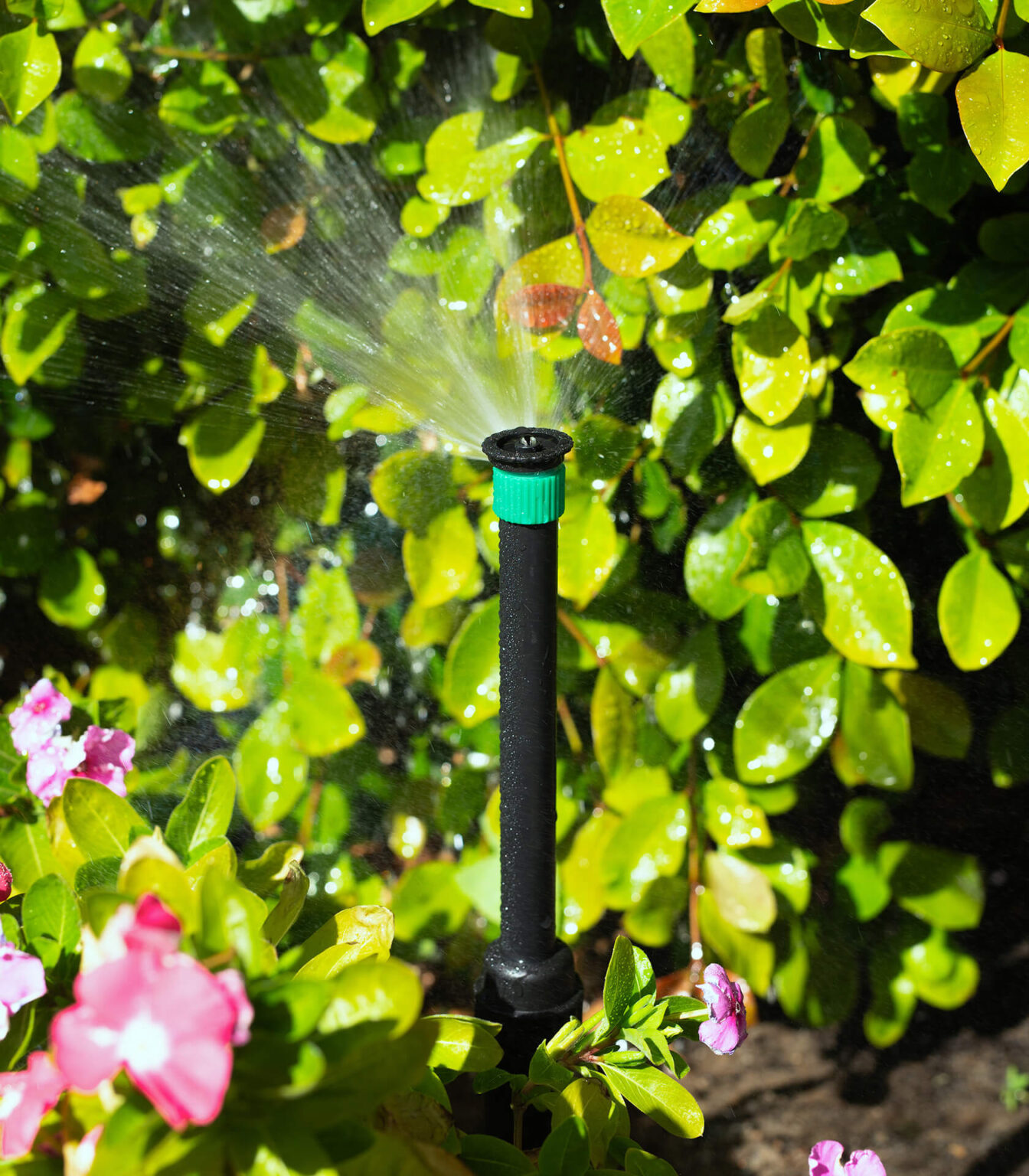 300-600mm Pro Series Telescopic Riser with Adjustable Nozzle - Holman ...