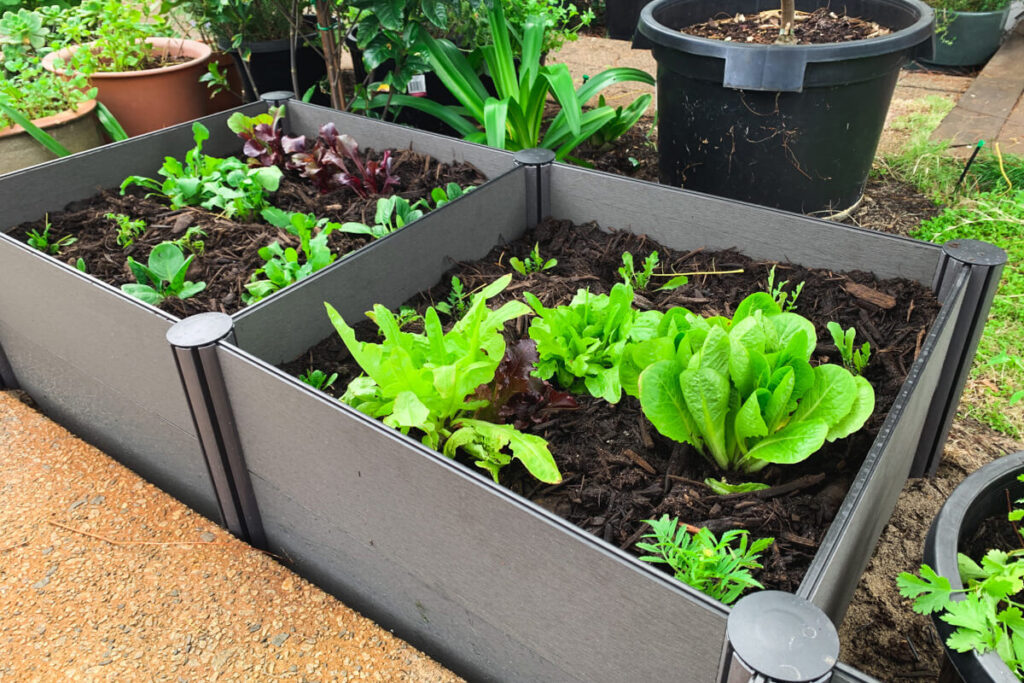 Spring Gardening Jobs: Long Weekend Edition