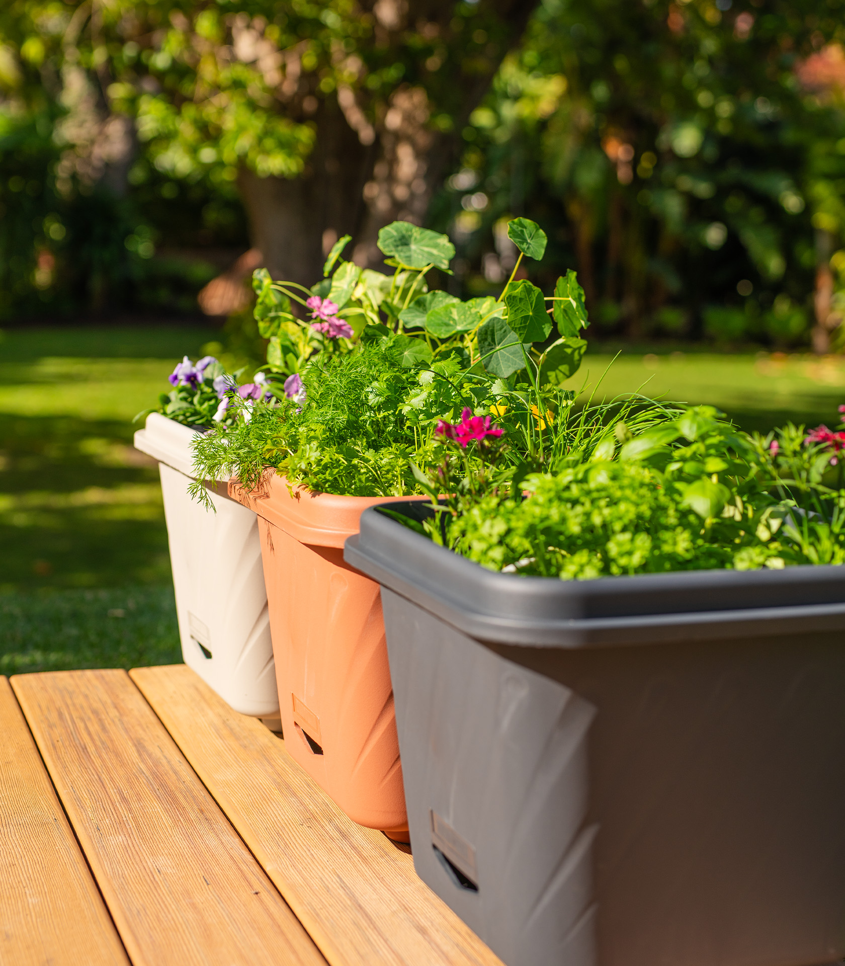 Small Self-Watering Pot – Stone - Holman Industries