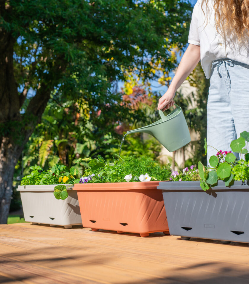 Medium Self-Watering Planter - Charcoal - Holman Industries