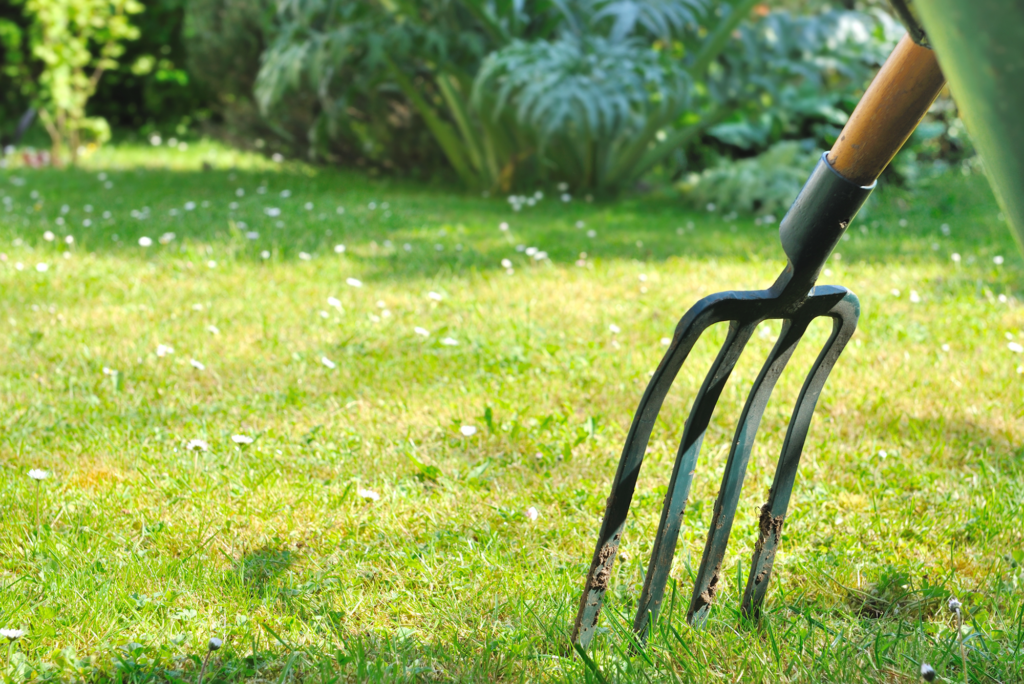 Spring Gardening Jobs: Long Weekend Edition