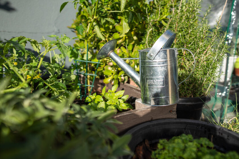 5 Easy Gardening Projects your Kids will love - Holman Industries