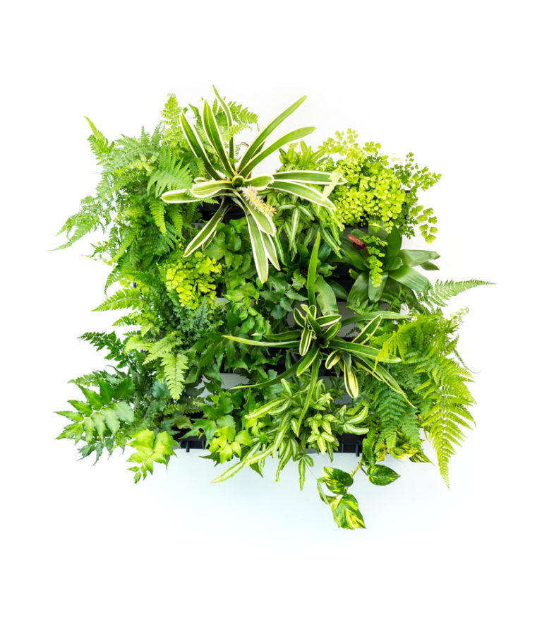 Pixel Pot Vertical Planting Kit - Holman Industries