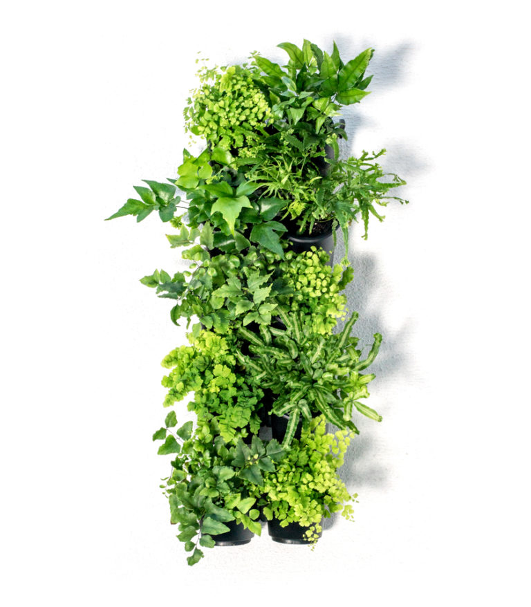 Connect-a-Pot™ 10 x Pot GreenWall® - Holman Industries