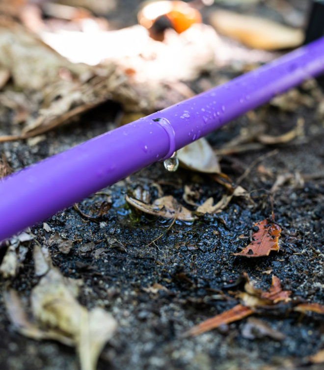 13mm x 30m Techline Reclaimed Water Irrigation Drip Tube - Holman ...