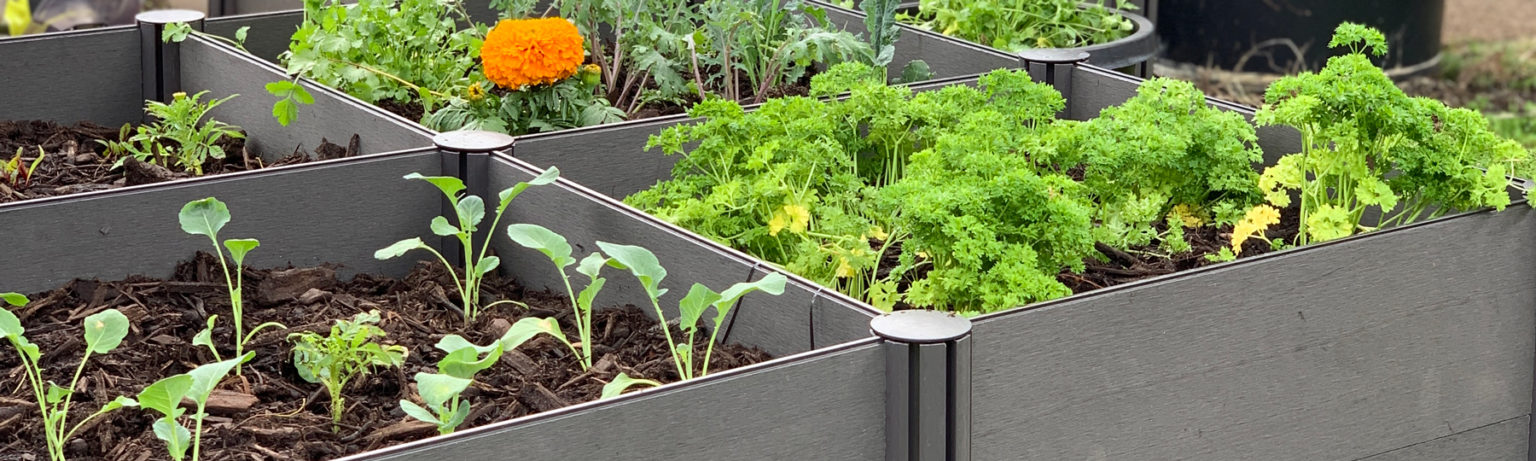 How to prepare your Garden Beds for Spring - Holman Industries