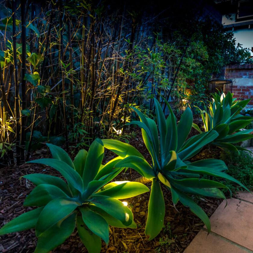 Outdoor Garden Lights with Smartphone Control and Wi-Fi Connection