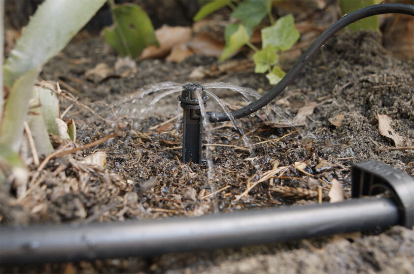 How to convert a Sprinkler into a Drip Irrigation System - Holman ...